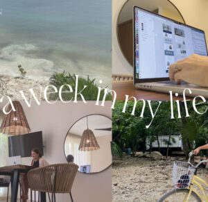 Webdesignerin & Wordpresscoach | Denise Webdesign